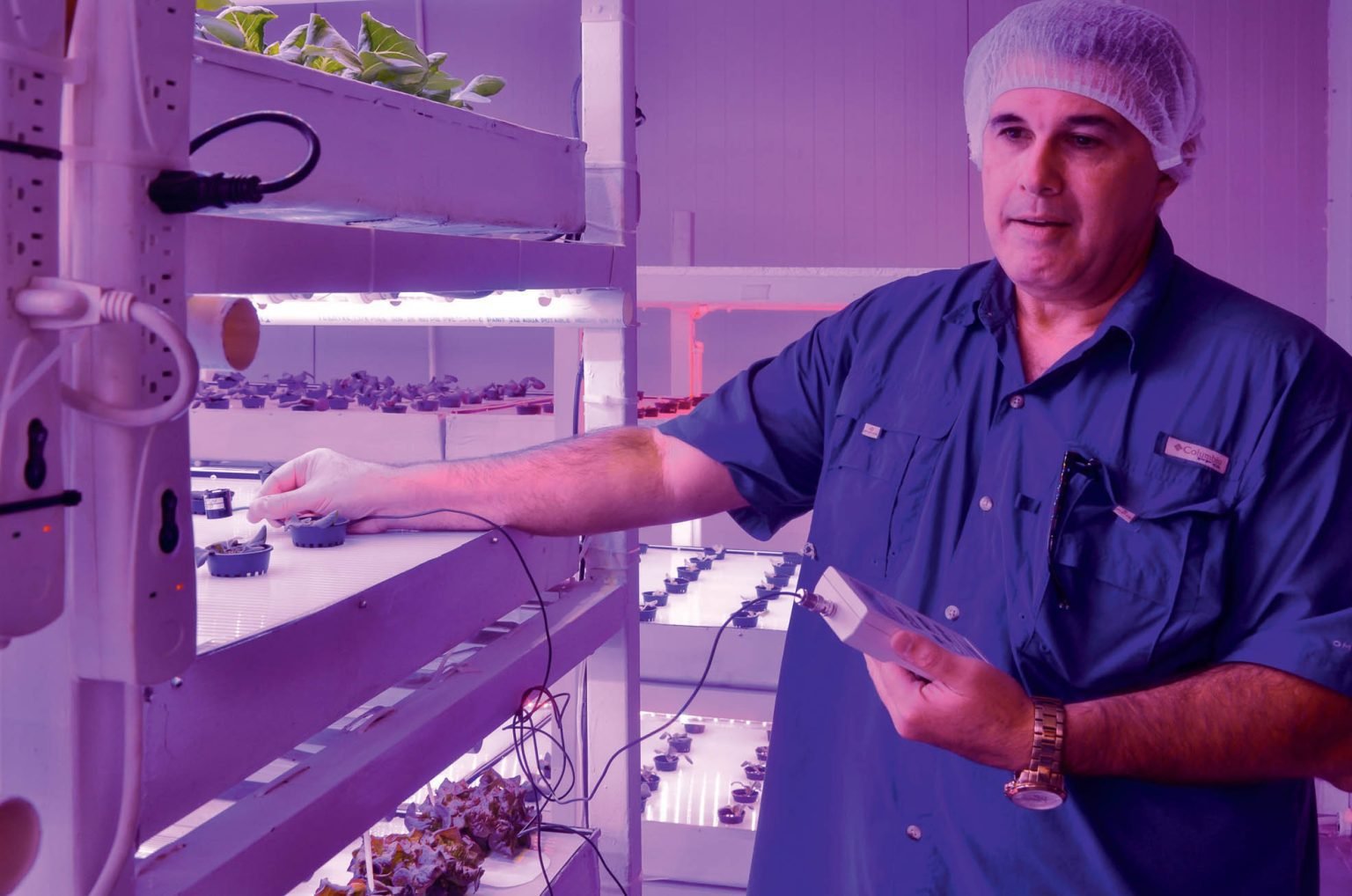 Ambiente controlado: nueva revolución agrícola - Panorama de las Américas