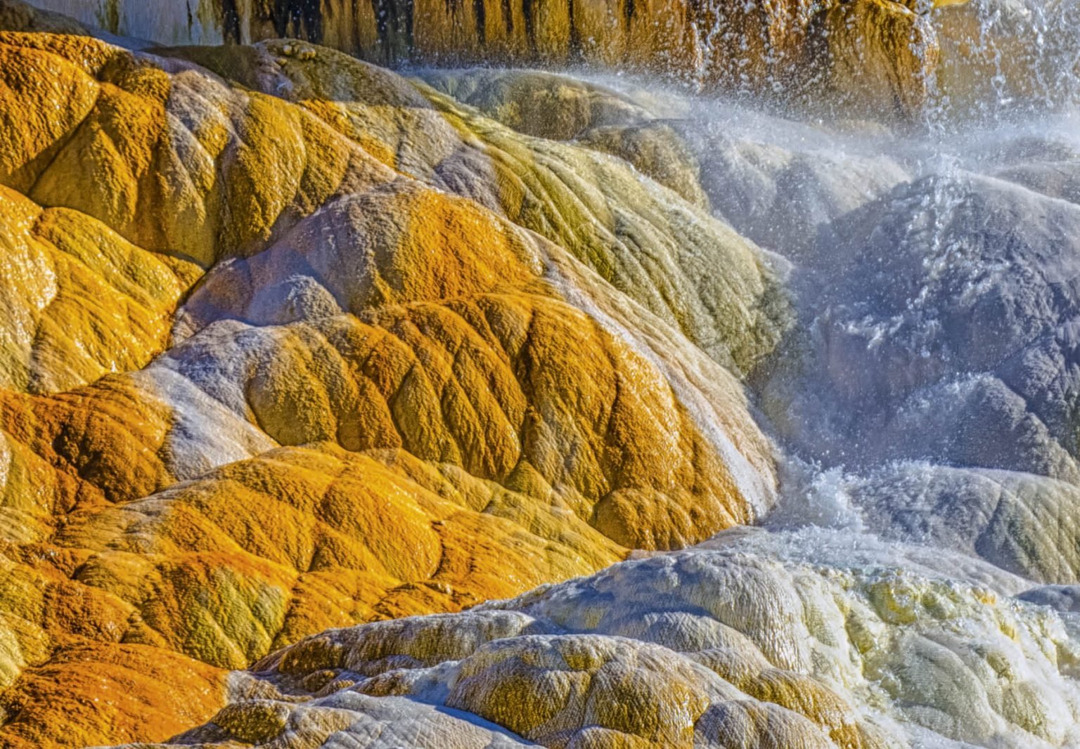 Yellowstone’s Extremophiles - Panorama of the Americas