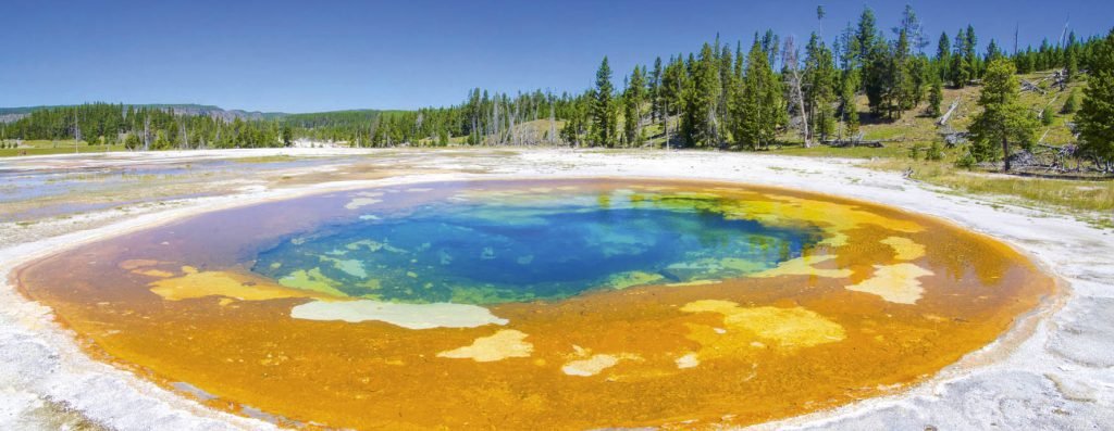 Yellowstone’s Extremophiles - Panorama of the Americas