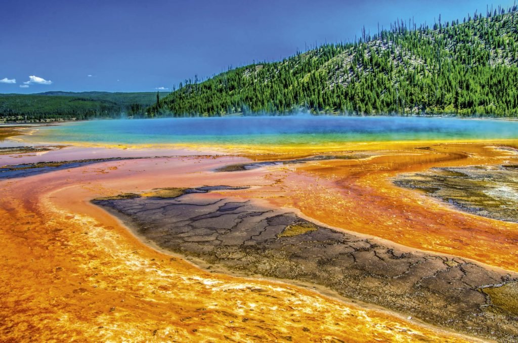 Yellowstone’s Extremophiles - Panorama of the Americas