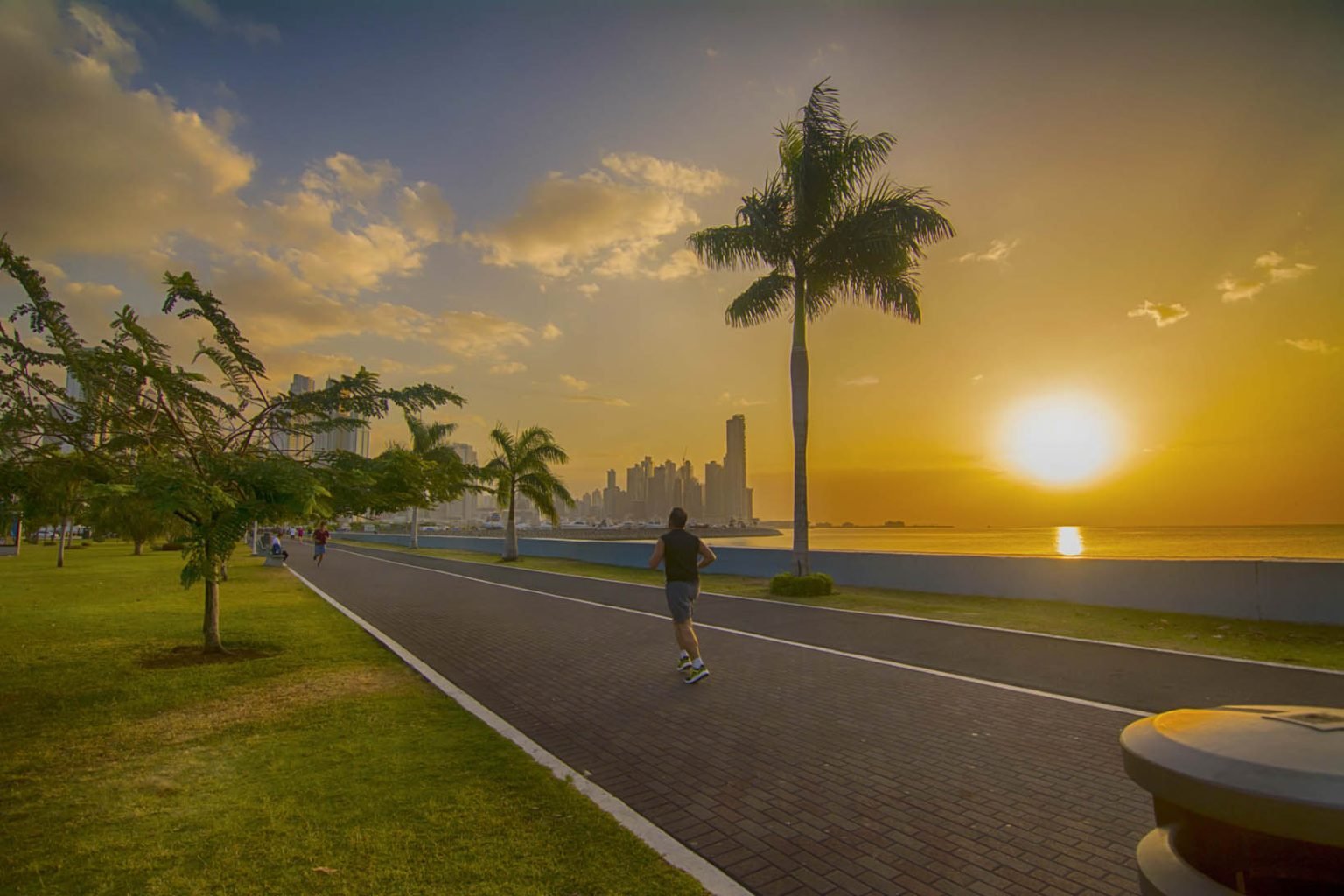 Panama: Open City - Panorama of the Americas