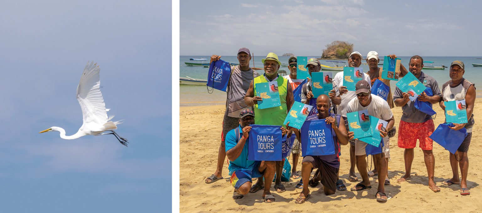 Isla Pacheca, la ciudad de las aves - Panorama de las Américas