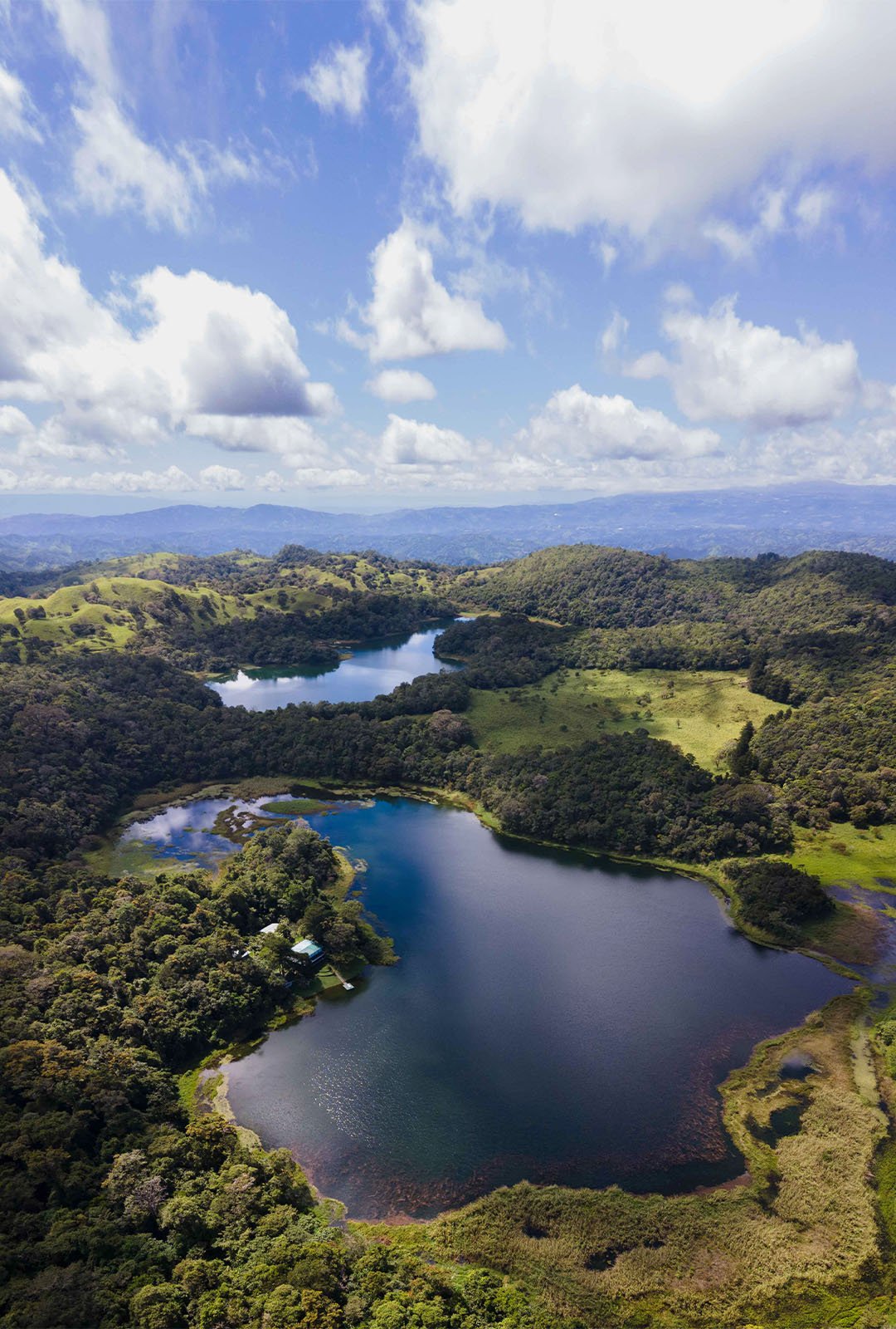 Chiriquí, santuario del buen café