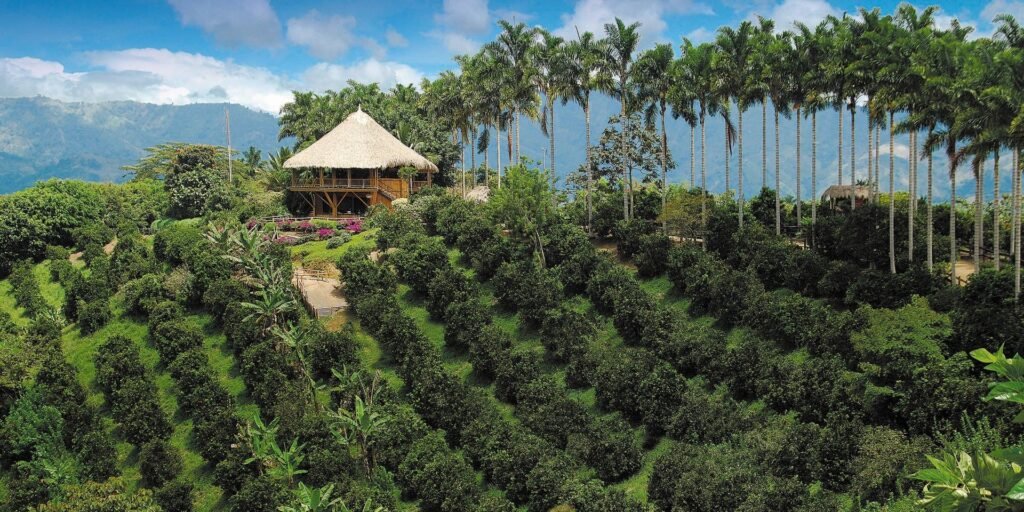 Seven Wonders of the Coffee Triangle - Nature - Panorama of the ...