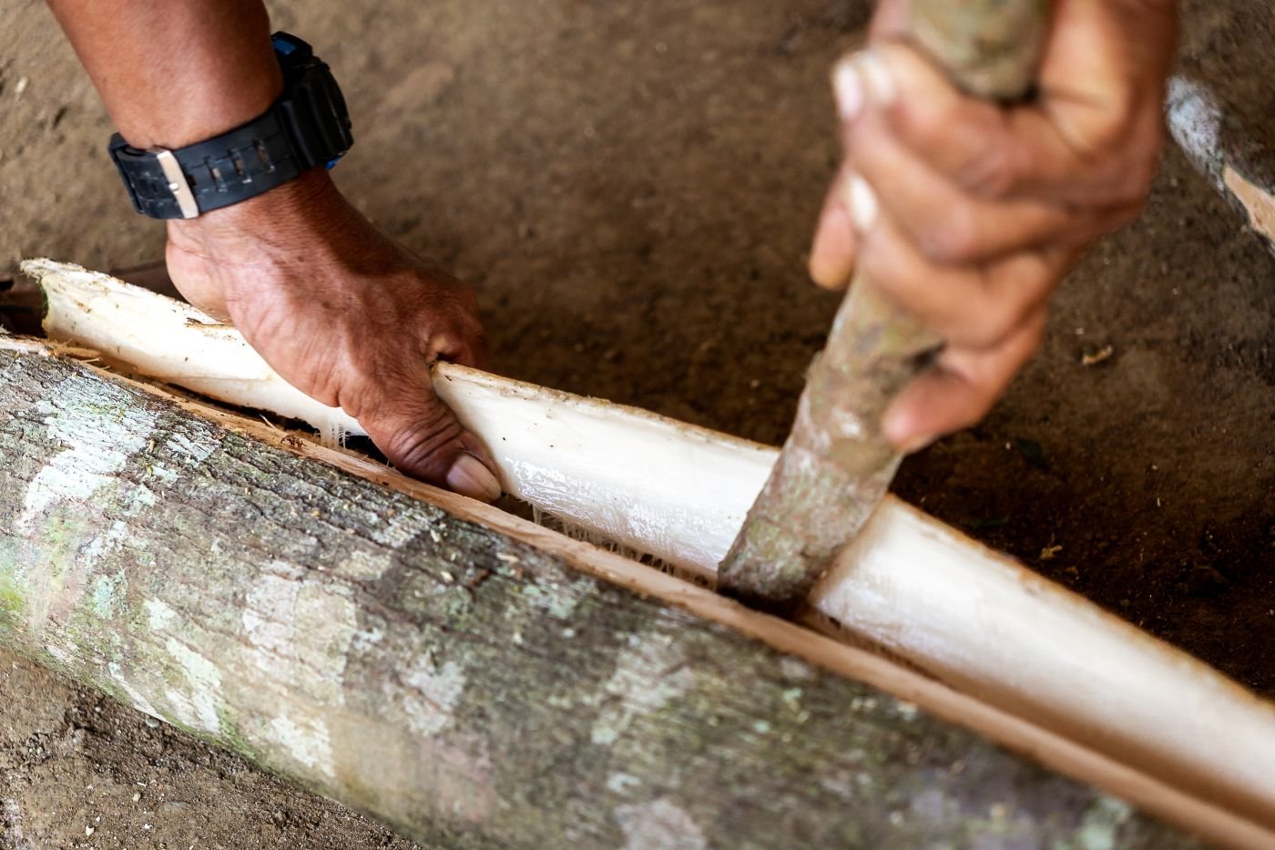 Donde el monte baila: los diablos Cucuá de San Miguel Centro - Panorama ...