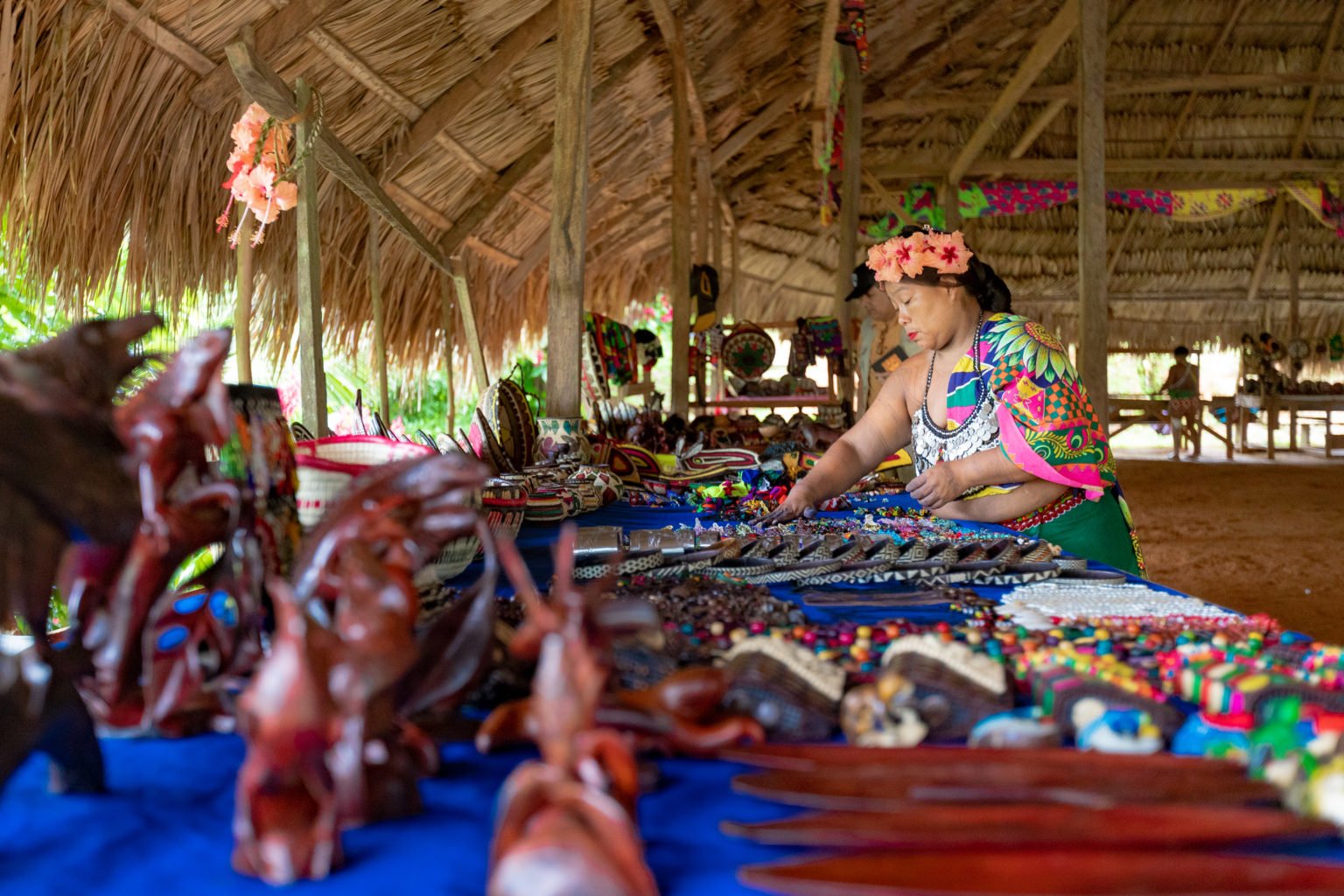 Emberá: hijos del río - Panorama de las Américas